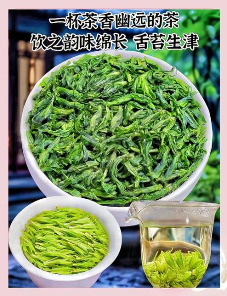苦丁茶图片_苦丁茶长什么样-第2张图片-山城妙识