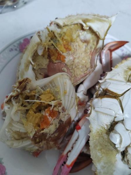 飞蟹死了可以吃吗_飞蟹死了多久不能吃-第1张图片-山城妙识