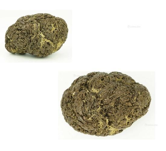 牛宝是什么意思_牛宝网络用语来源-第2张图片-山城妙识