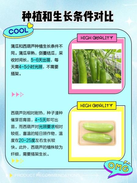 蒲瓜怎么挑选_蒲瓜和瓠瓜的区别-第1张图片-山城妙识