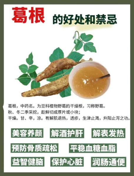 葛根粉的功效与作用禁忌_葛根粉怎么吃才健康-第1张图片-山城妙识 葛根粉的功效与作用禁忌_葛根粉怎么吃才健康-第1张图片-山城妙识