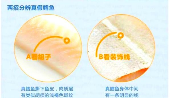 鳕鱼图片大全_鳕鱼怎么分辨真假-第2张图片-山城妙识 鳕鱼图片大全_鳕鱼怎么分辨真假-第2张图片-山城妙识