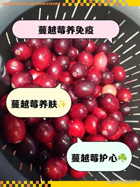 蔓越莓的功效与作用_蔓越莓多少钱一斤-第1张图片-山城妙识