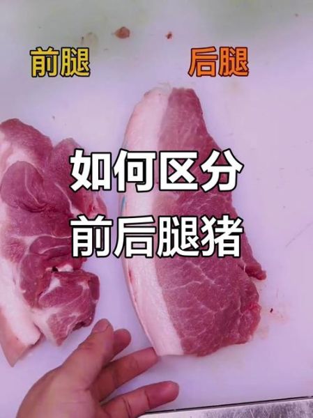 后腿肉和前腿肉哪个好_后腿肉和前腿肉区别-第3张图片-山城妙识