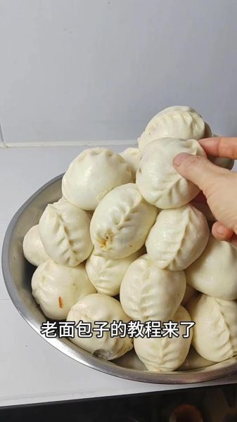 老面包子怎么做_老面包子配方比例-第1张图片-山城妙识