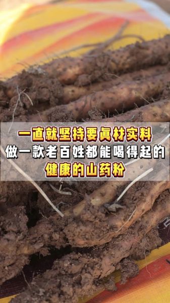 铁棍山药粉多少钱一斤_铁棍山药粉价格为什么差别大-第2张图片-山城妙识