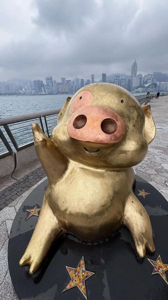 鱼丸粗面是哪个动画片_麦兜经典台词出处-第1张图片-山城妙识