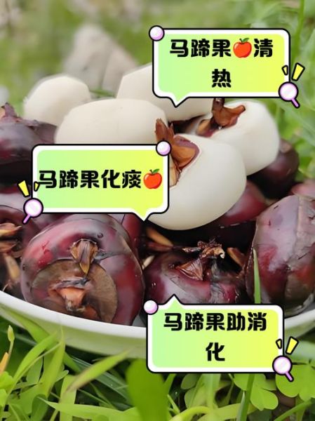 马蹄水果怎么吃_马蹄水果可以生吃吗-第1张图片-山城妙识