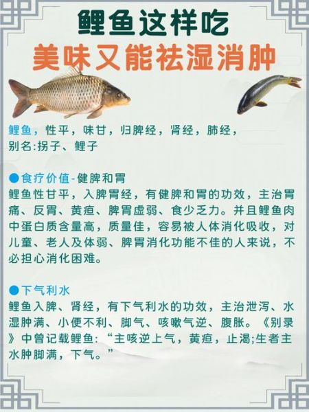 鲤鱼的营养价值_孕妇能吃吗-第1张图片-山城妙识