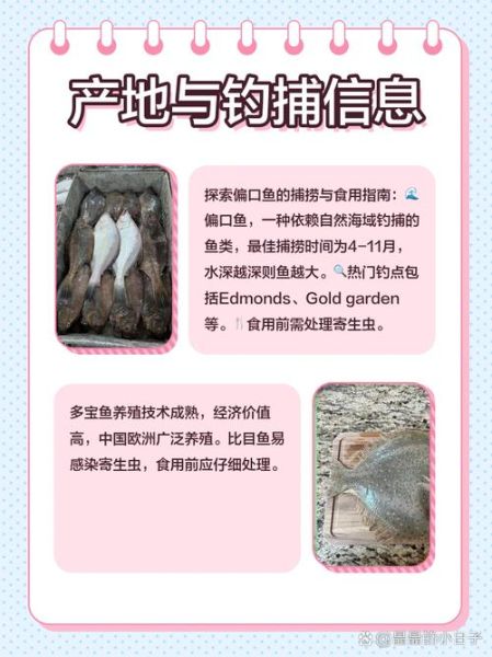 鲆鱼图片大全_鲆鱼与多宝鱼区别-第1张图片-山城妙识
