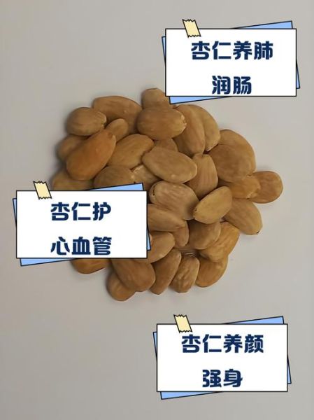 生杏仁的功效与作用_生杏仁怎么吃最健康-第2张图片-山城妙识