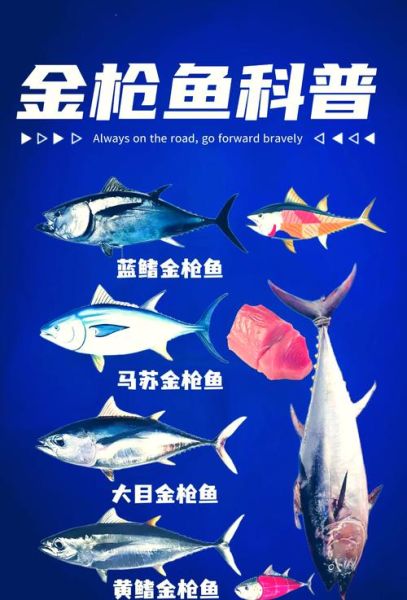 金枪鱼有几种品种_蓝鳍黄鳍大目区别-第1张图片-山城妙识