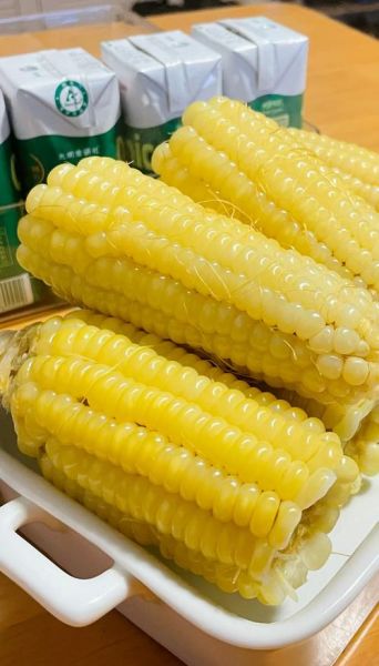 鲜玉米棒煮多久能熟_鲜玉米棒煮多长时间最好吃-第1张图片-山城妙识 鲜玉米棒煮多久能熟_鲜玉米棒煮多长时间最好吃-第1张图片-山城妙识