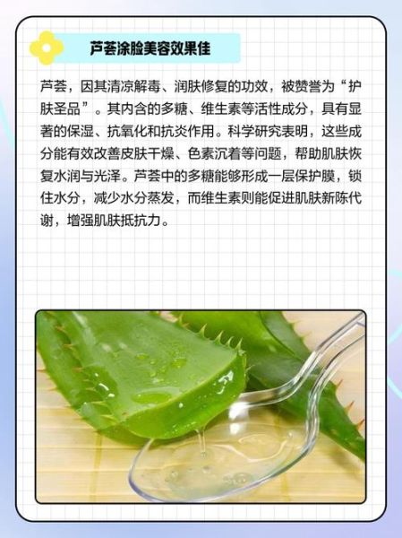 长期用芦荟擦脸好不好_芦荟擦脸的正确方法-第2张图片-山城妙识