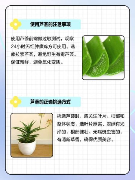 长期用芦荟擦脸好不好_芦荟擦脸的正确方法-第3张图片-山城妙识