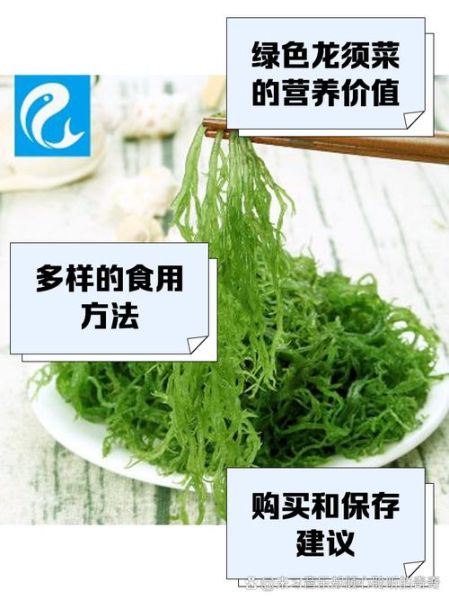 龙须菜白色好还是绿色好_区别与选购技巧-第1张图片-山城妙识