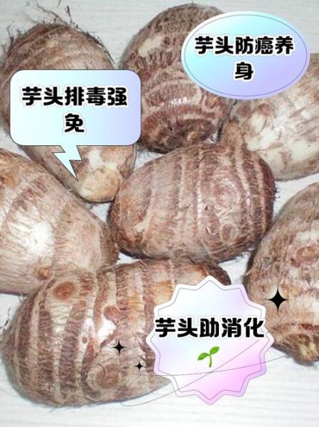 芋头的营养价值_芋头有哪些功效与作用-第1张图片-山城妙识
