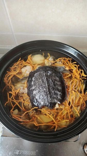 霸王别姬菜多少钱一份_霸王别姬菜价格-第2张图片-山城妙识