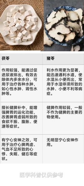 猪苓图片长什么样_猪苓和茯苓的区别-第3张图片-山城妙识