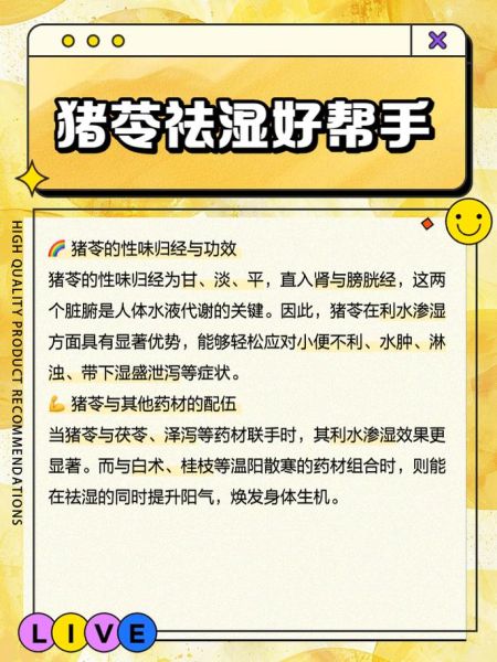 猪苓图片长什么样_猪苓和茯苓的区别-第2张图片-山城妙识