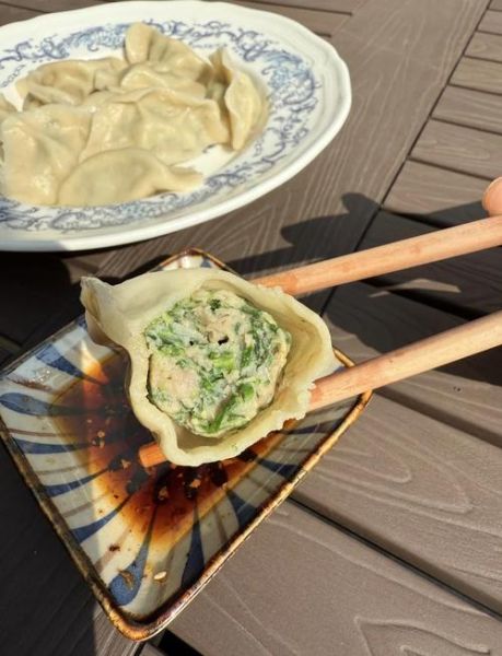 荠菜饺子怎么做_荠菜饺子素食做法-第1张图片-山城妙识