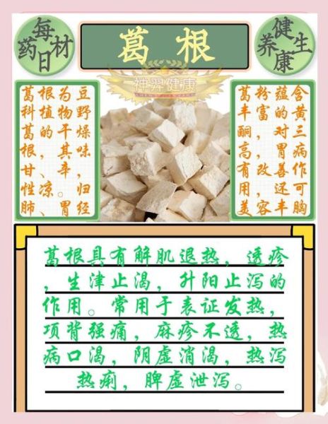 葛根的副作用有哪些_葛根禁忌人群-第2张图片-山城妙识 葛根的副作用有哪些_葛根禁忌人群-第2张图片-山城妙识