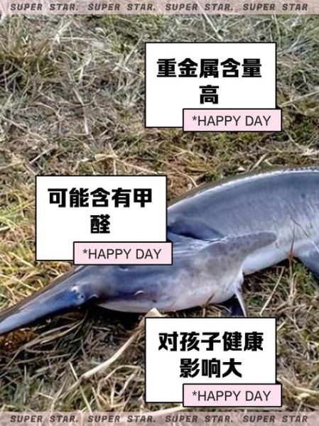 鸭嘴鱼不能和什么一起吃_鸭嘴鱼禁忌人群有哪些-第1张图片-山城妙识