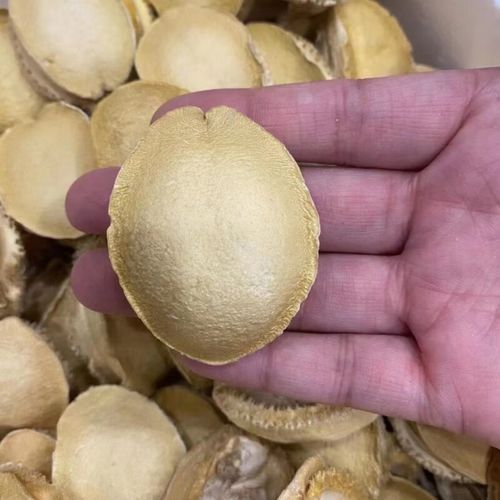 鲍鱼多少钱一斤算正常_鲍鱼价格受哪些因素影响-第1张图片-山城妙识