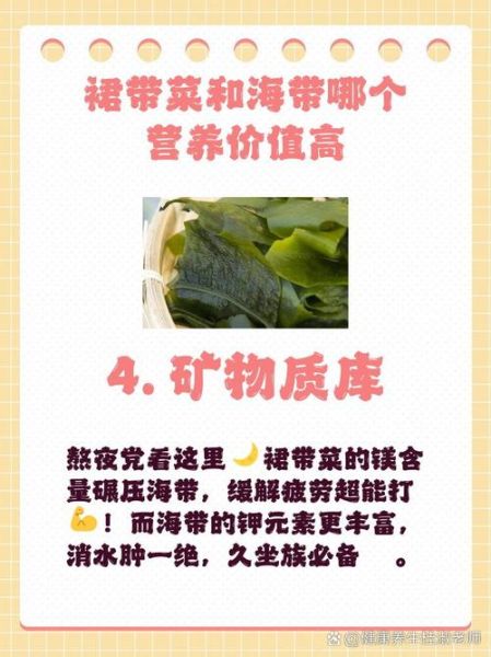 裙带菜和海带的哪个好_营养区别与选购指南-第2张图片-山城妙识