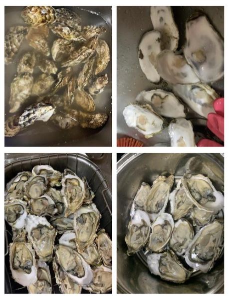 生蚝怎么清理_生蚝清洗的正确方法-第2张图片-山城妙识