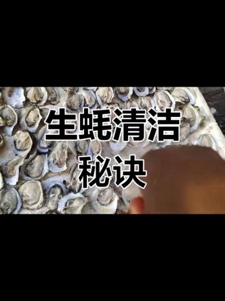 生蚝怎么清理_生蚝清洗的正确方法-第3张图片-山城妙识