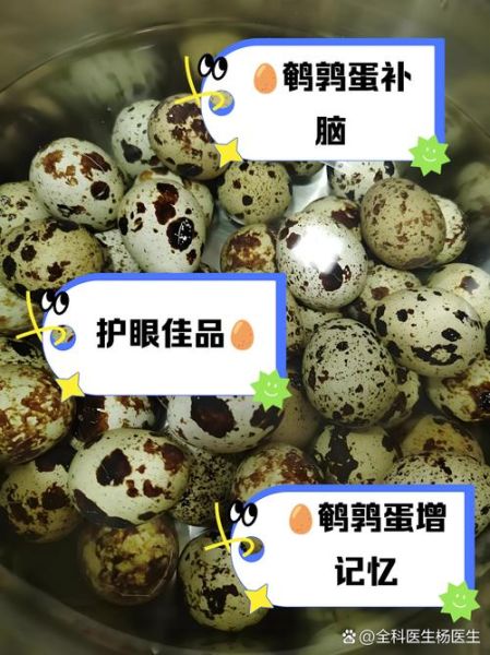 鹌鹑蛋对卵巢有好处吗_鹌鹑蛋怎么吃最养卵巢-第2张图片-山城妙识
