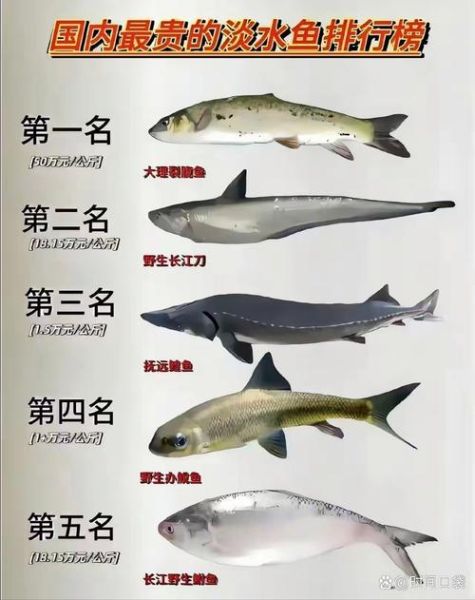 鲥鱼图片大全_如何分辨真假鲥鱼-第3张图片-山城妙识