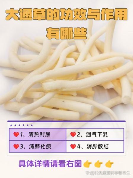 通草的功效与作用_通草能下奶吗-第1张图片-山城妙识