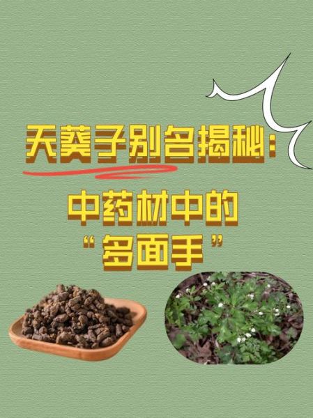 天葵期间是什么意思_天葵期间注意事项-第3张图片-山城妙识