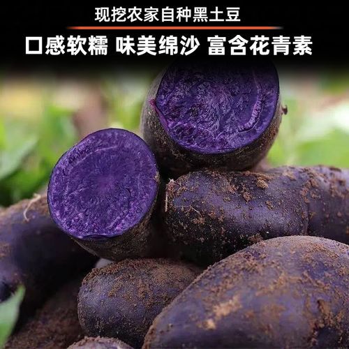 黑土豆产地在哪里_黑土豆哪里产的好吃-第2张图片-山城妙识 黑土豆产地在哪里_黑土豆哪里产的好吃-第2张图片-山城妙识