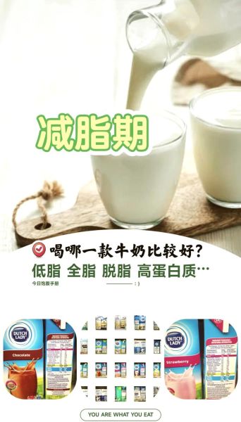 减肥可以喝牛奶吗_减脂期牛奶怎么选-第2张图片-山城妙识