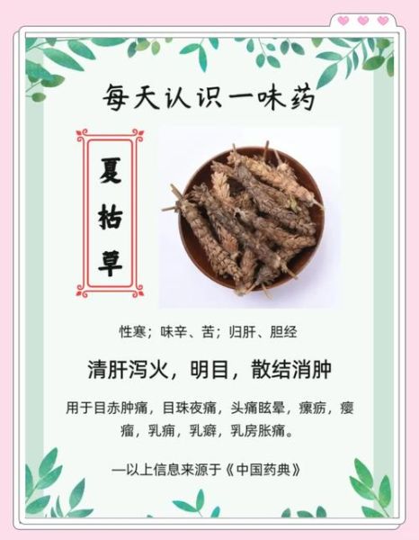 夏枯草的功效与作用_夏枯草能长期喝吗-第1张图片-山城妙识