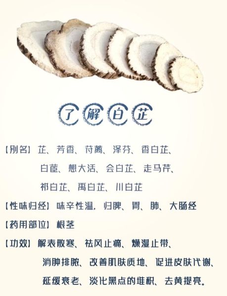 白芷的功效与作用用量_白芷一天吃多少克才安全-第2张图片-山城妙识