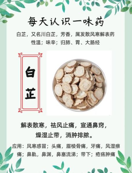 白芷的功效与作用用量_白芷一天吃多少克才安全-第1张图片-山城妙识
