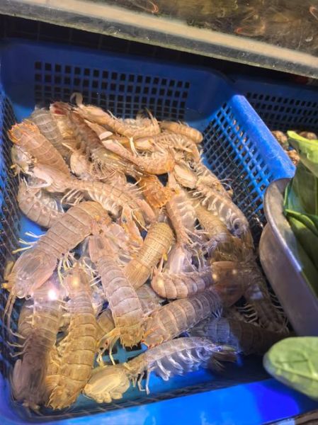 虾婆婆怎么保存_虾婆婆冷冻能放多久-第3张图片-山城妙识