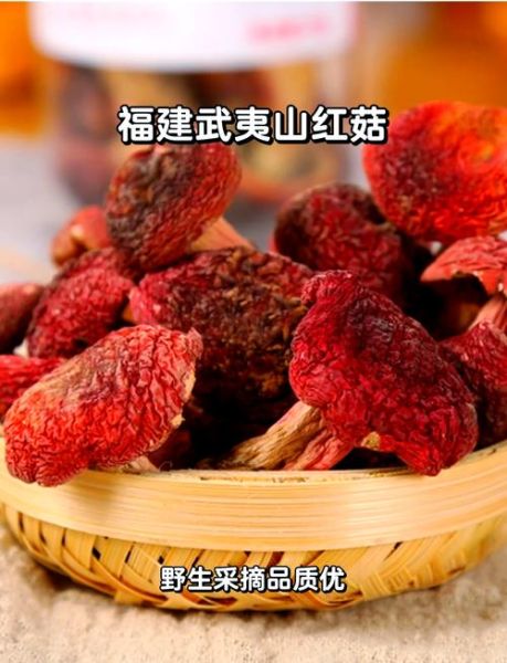 红菇怎么做好吃_红菇的功效与作用-第2张图片-山城妙识 红菇怎么做好吃_红菇的功效与作用-第2张图片-山城妙识
