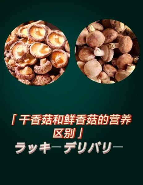 香菇干怎么泡发_香菇干和鲜香菇营养区别-第1张图片-山城妙识