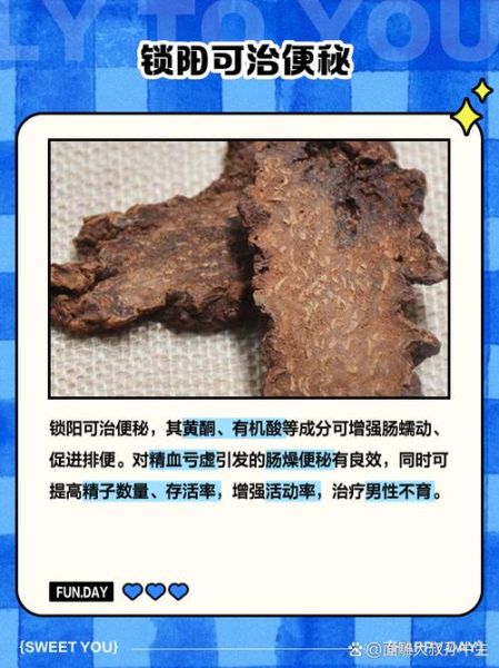 锁阳怎么吃壮阳最快_锁阳壮阳的正确吃法-第1张图片-山城妙识