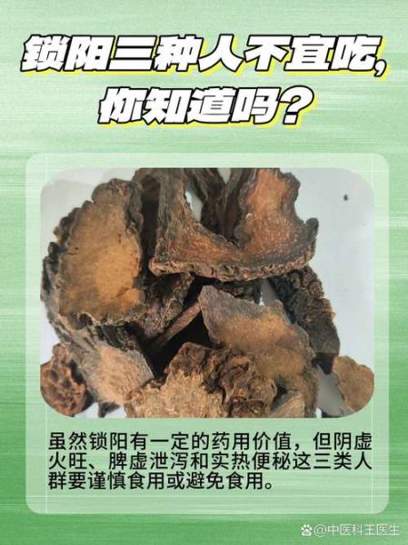 锁阳怎么吃壮阳最快_锁阳壮阳的正确吃法-第3张图片-山城妙识