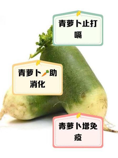 青萝卜水的功效与作用_青萝卜水能减肥吗-第1张图片-山城妙识