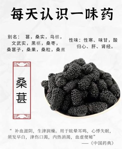 桑葚果的功效与作用有哪些_桑葚果怎么吃最养生-第2张图片-山城妙识