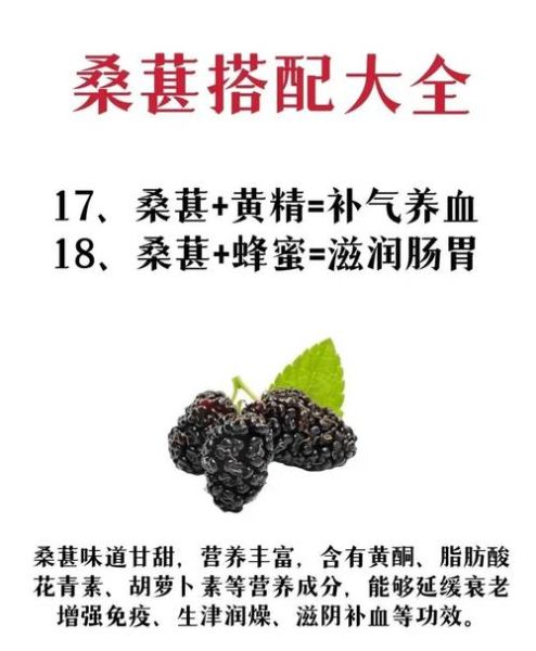 桑葚果的功效与作用有哪些_桑葚果怎么吃最养生-第3张图片-山城妙识