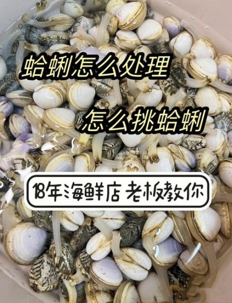 蛤蜊肉怎么清洗干净_蛤蜊肉去沙技巧-第1张图片-山城妙识 蛤蜊肉怎么清洗干净_蛤蜊肉去沙技巧-第1张图片-山城妙识