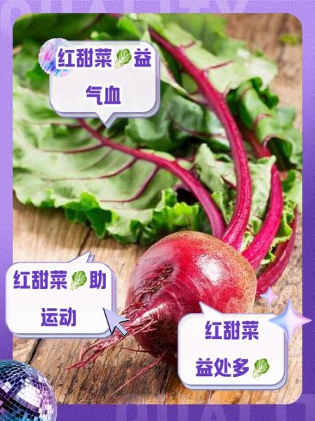 甜菜怎么种_甜菜的功效与作用-第3张图片-山城妙识